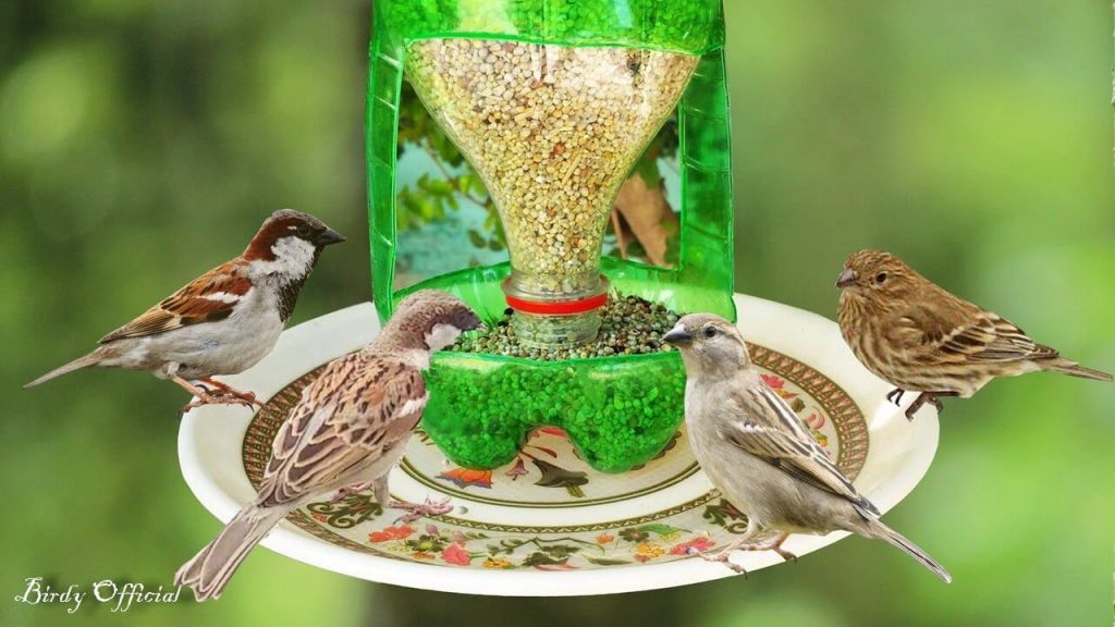 Recycled Plastic Bottle Bird Feeders – Easy DIYs - Kids Art & Craft