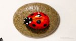 DIY Ladybugs Painted Rocks For Kids - Kids Art & Craft