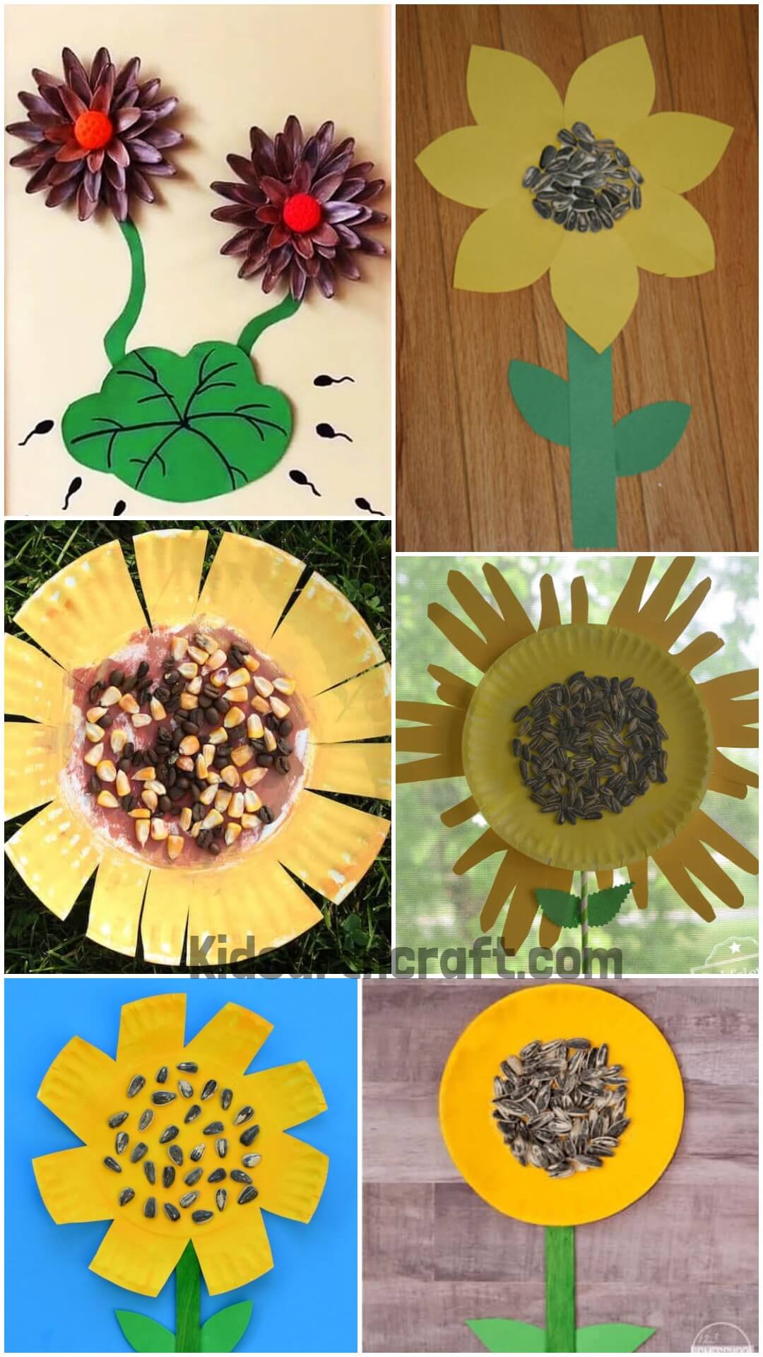 Sunflower Art & Crafts With Seeds - Kids Art & Craft