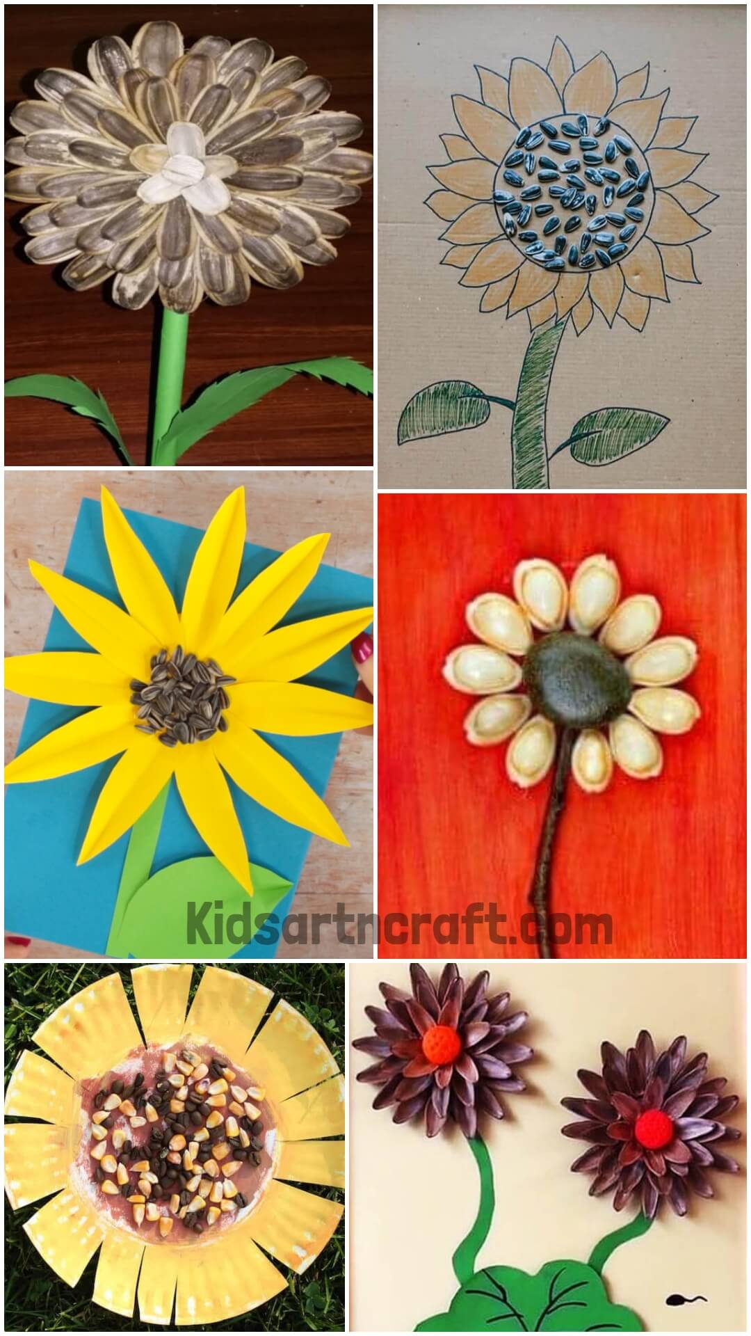 Sunflower Seed Shell Art & Crafts For Kids - Kids Art & Craft