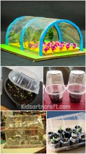 Green House School Project Ideas - Kids Art & Craft