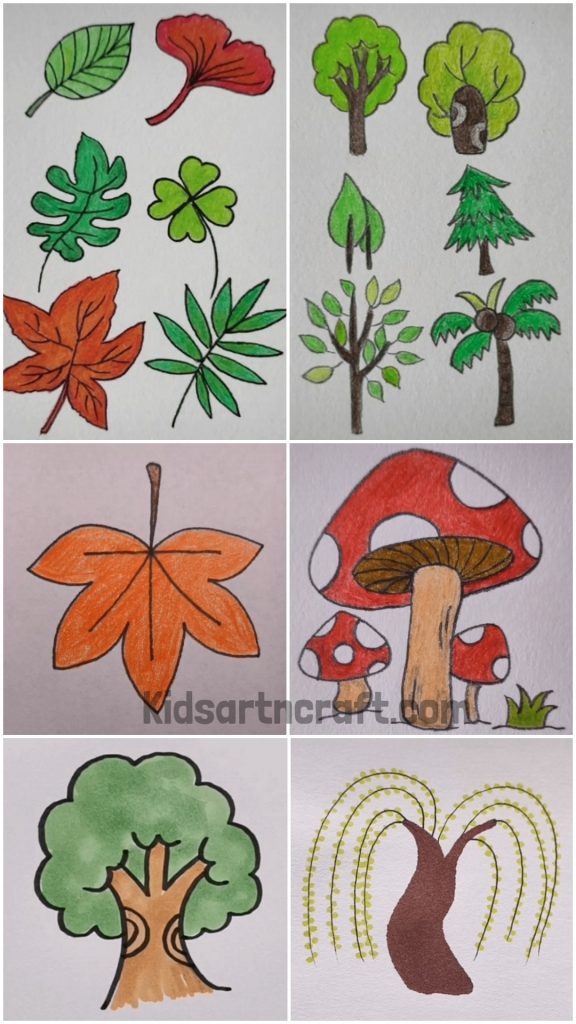 Learn to Draw Tree, Plants and Leaf - Kids Art & Craft