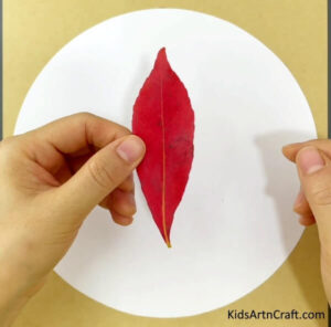 Learn to Make Fox Art And Craft Using Fall Leaves - Kids Art & Craft