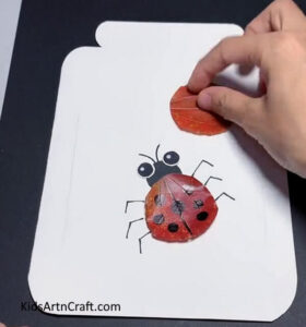Easy Ladybug Craft For Kids Using Leaves and Paper - Kids Art & Craft