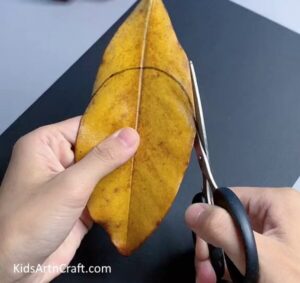 Easy Leaf Art and Craft Step by Step Tutorial For Kids - Kids Art & Craft
