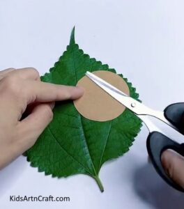 Green Leaf Frog Craft Step by Step Tutorial - Kids Art & Craft