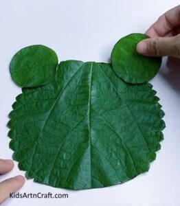 Green Leaf Frog Craft Step by Step Tutorial - Kids Art & Craft