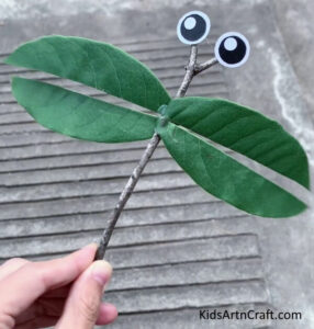 Learn To Make Bug From Leaf Easy Craft for Kids - Kids Art & Craft