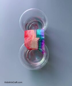 Walking Water Rainbow Science Experiment for Kids - Kids Art & Craft