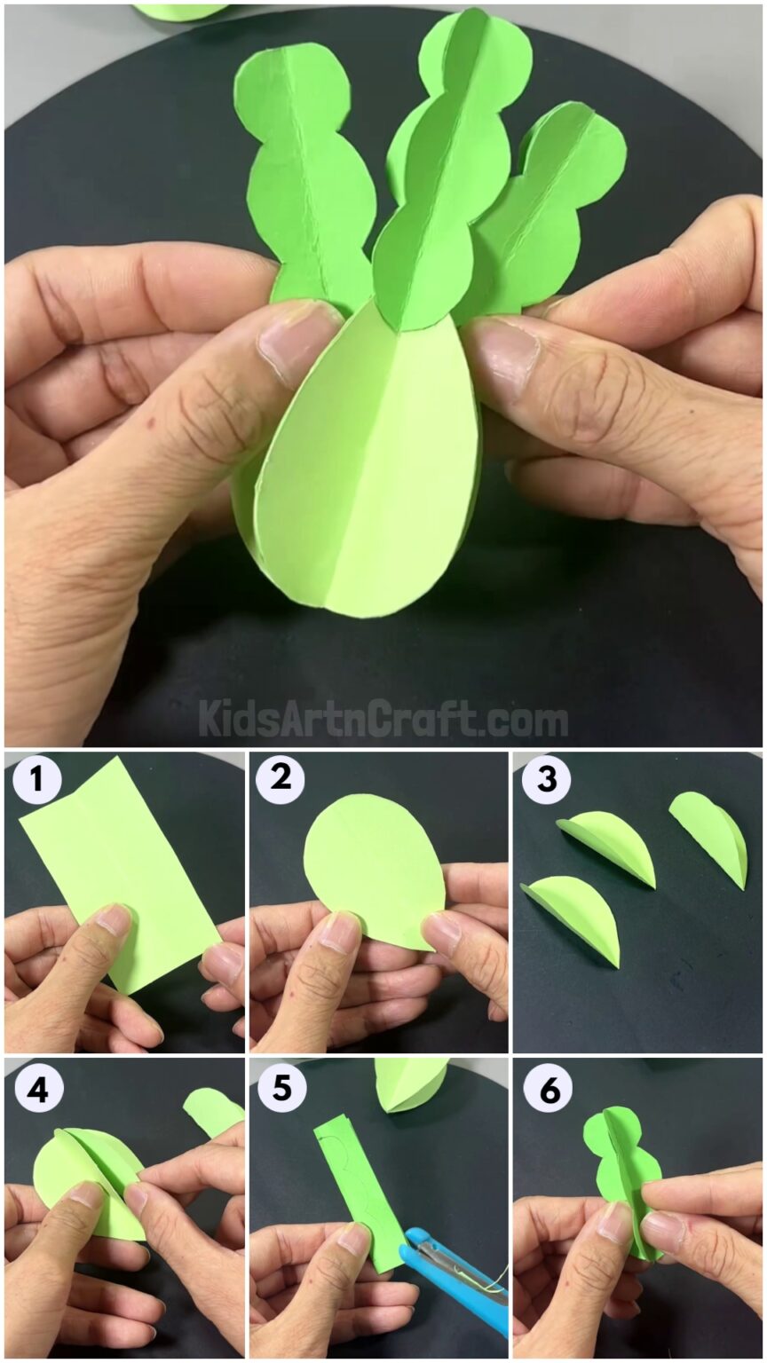 DIY Easy Paper Cactus Craft Tutorial for kids - Kids Art & Craft