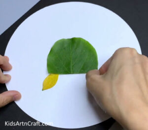Make Tortoise Leaf Art Easy Tutorial For Kids - Kids Art & Craft