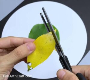 Make Tortoise Leaf Art Easy Tutorial For Kids - Kids Art & Craft