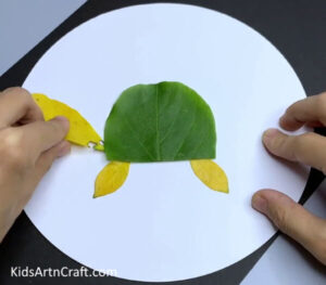 Make Tortoise Leaf Art Easy Tutorial For Kids - Kids Art & Craft