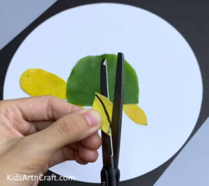 Make Tortoise Leaf Art Easy Tutorial For Kids - Kids Art & Craft