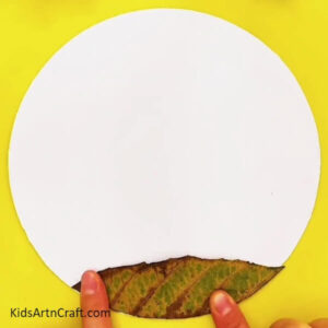 Cute Little Red Riding Hood Leaf Craft Tutorial for Kids - Kids Art & Craft