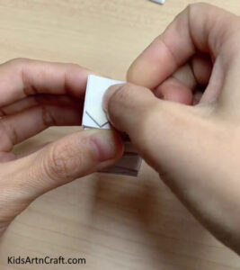 DIY Bouncing Paper Bunny Craft for kids - Kids Art & Craft