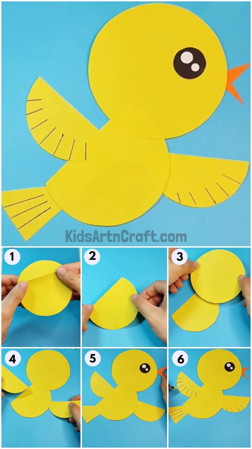 DIY Bird Paper Craft Step by Step Tutorial - Kids Art & Craft