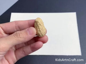 DIY peanut shell Reindeer craft For Kids - Kids Art & Craft