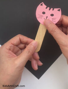 DIY Popsicle Stick and Pipe Cleaner Tutorial Cat Craft - Kids Art & Craft