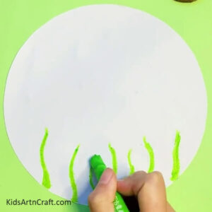 How To Learn Turtle From Walnut Shell Craft Tutorial - Kids Art & Craft