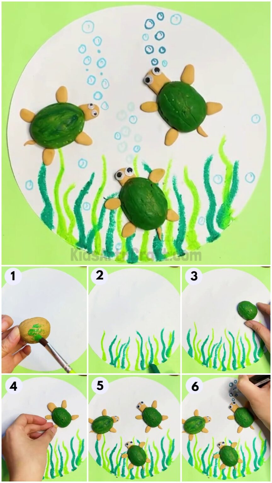 How To Learn Turtle From Walnut Shell Craft Tutorial - Kids Art & Craft
