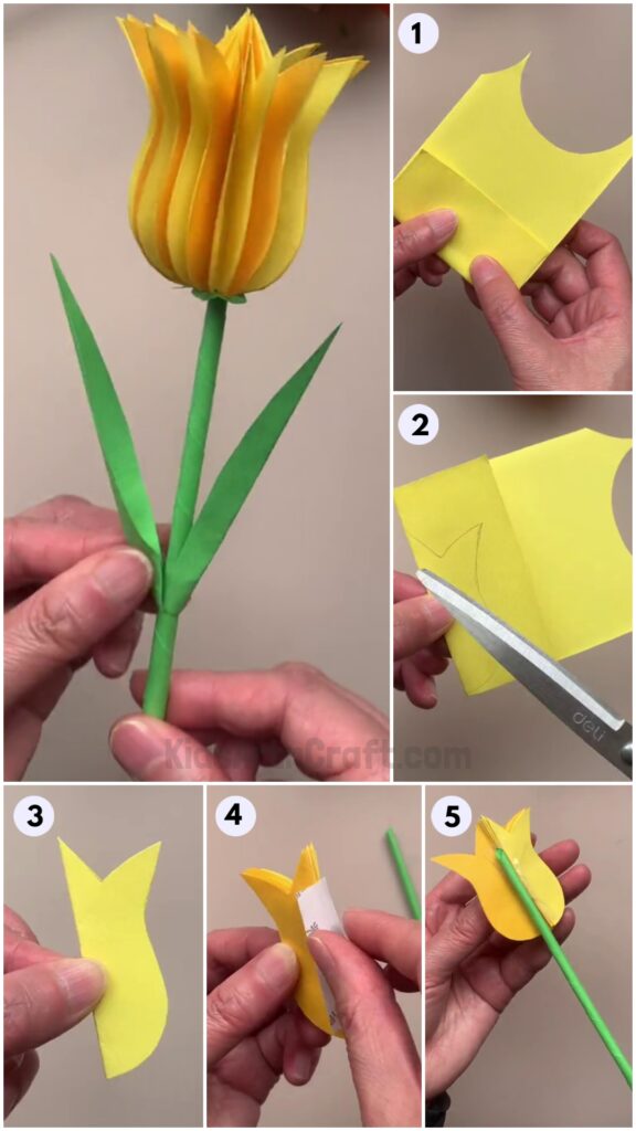 How to Make Tulip Flower with Paper For Kids - Kids Art & Craft