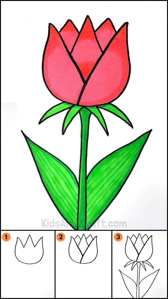 Tulip Flower Drawing Easy Tutorial For Kids - Kids Art & Craft