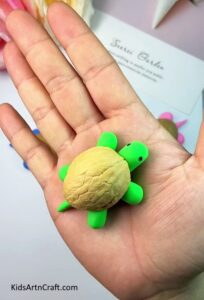 Learn To Make Walnut Shell And Clay Turtles Craft - Kids Art & Craft