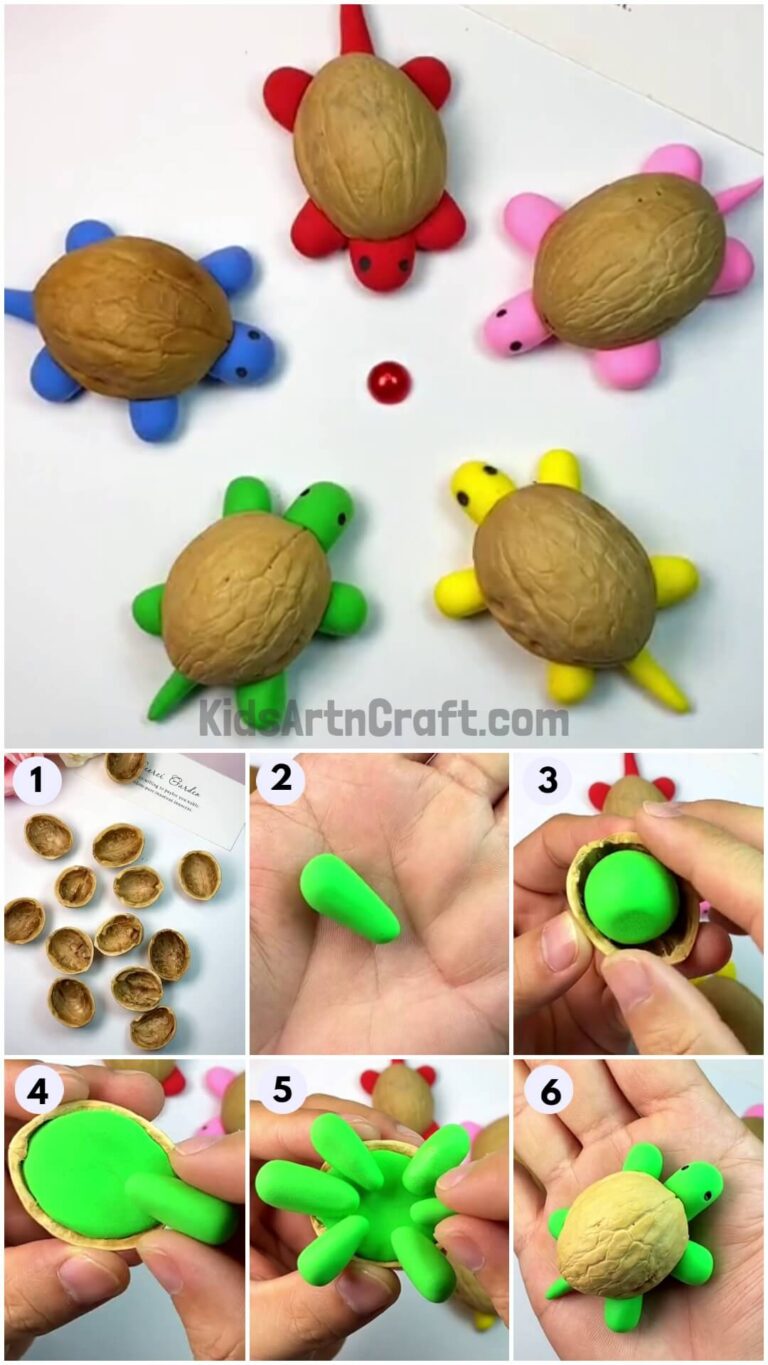 Learn To Make Walnut Shell And Clay Turtles Craft - Kids Art & Craft
