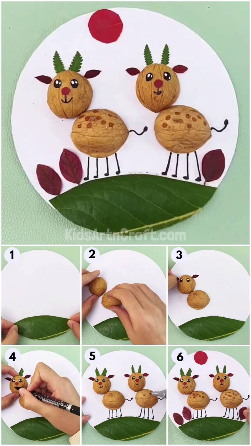 Walnut Deer Craft Using Leaves Step By Step Tutorial - Kids Art & Craft