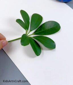 Patterned Leaf Branch Artwork Tutorial For Beginners - Kids Art & Craft