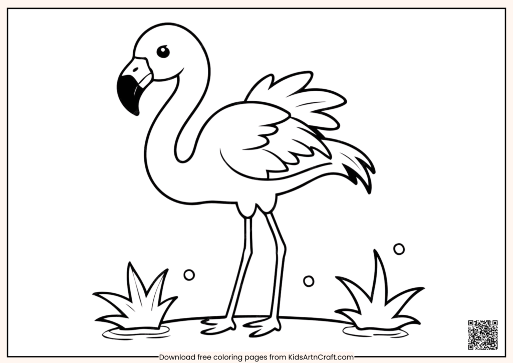 Birds Coloring Pages For Kids - Free Printable - Kids Art & Craft