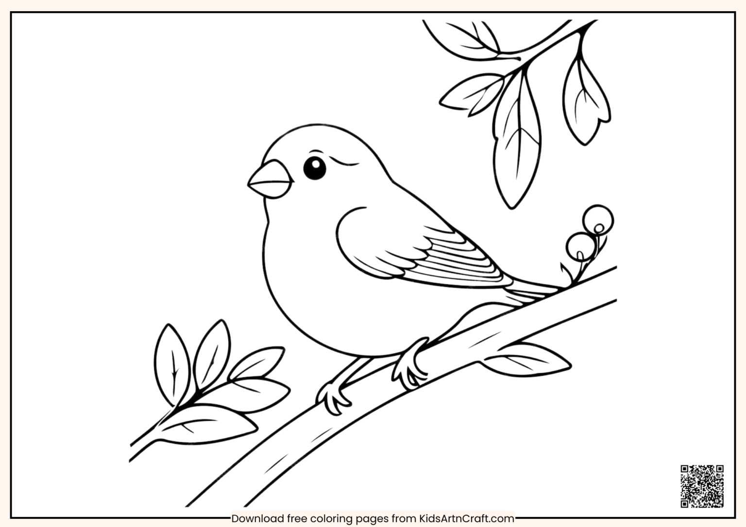 Birds Coloring Pages For Kids - Free Printable - Kids Art & Craft