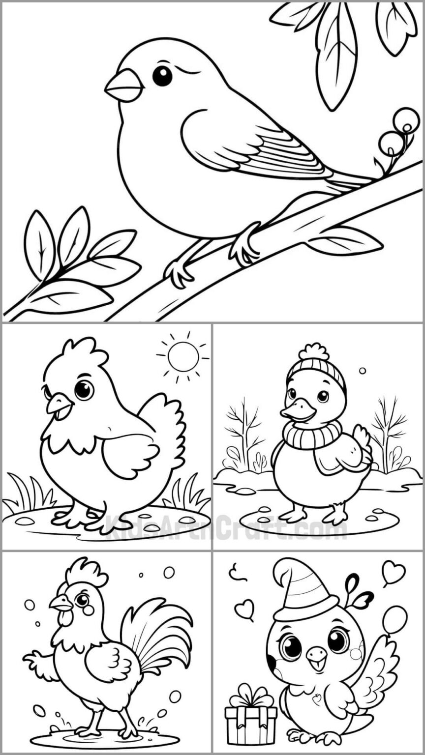 Birds Coloring Pages For Kids - Free Printable - Kids Art & Craft