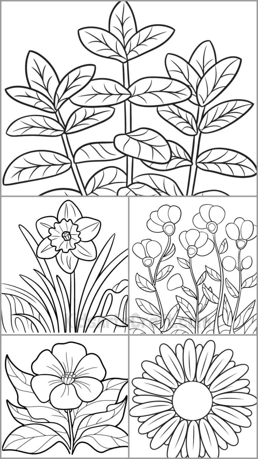 Creative Flower Coloring Pages For Kids - Free to Print - Kids Art & Craft