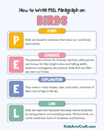 Paragraph on Birds - Kids Art & Craft