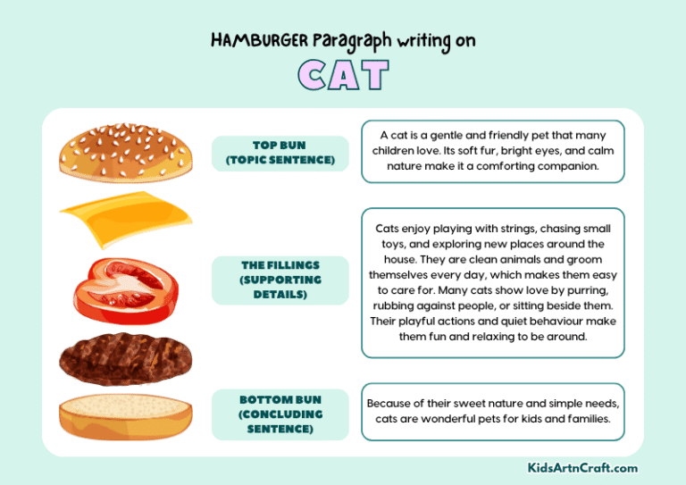 Paragraph On Cat - Kids Art & Craft
