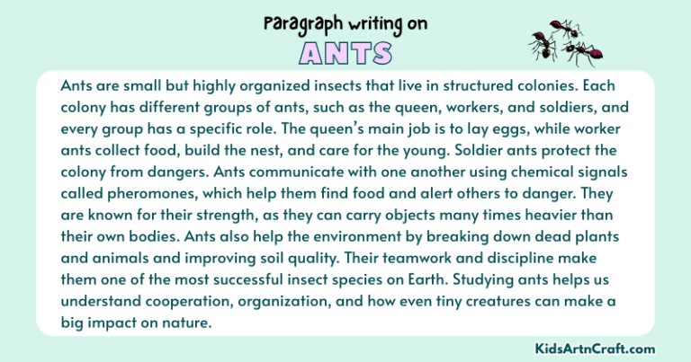 Paragraph on Ants - Kids Art & Craft