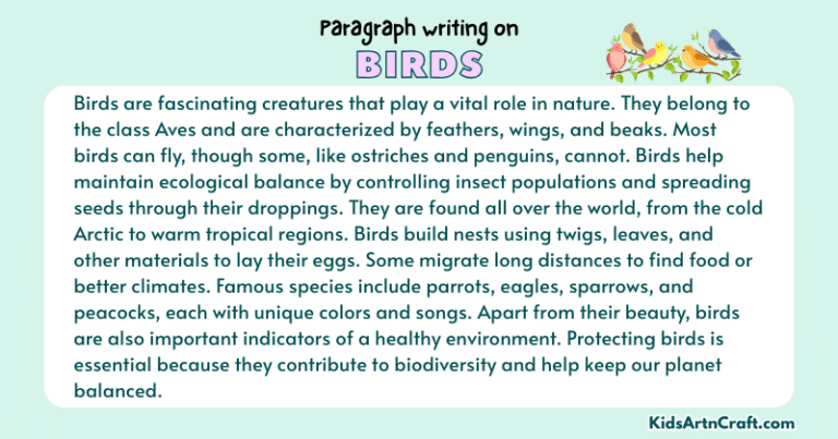 Paragraph on Birds - Kids Art & Craft
