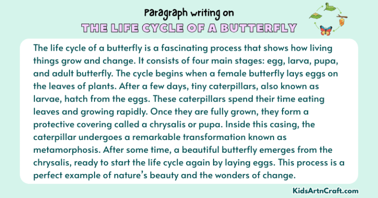 Paragraph on The Life Cycle of a Butterfly - Kids Art & Craft