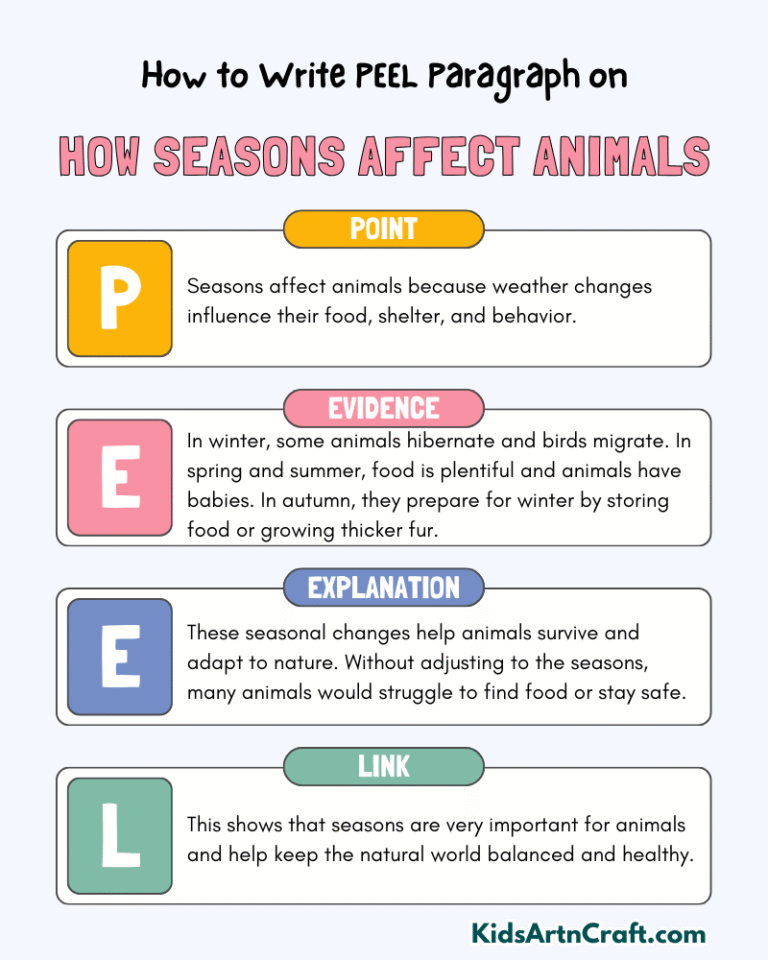 Paragraph on How Seasons Affect Animals - Kids Art & Craft