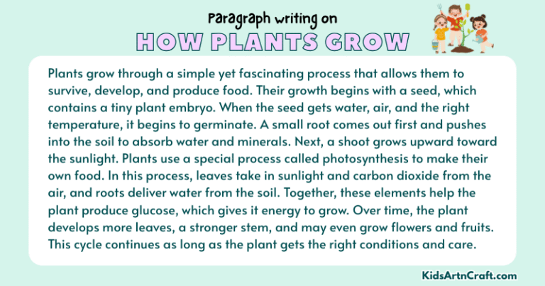 Paragraph on How Plants Grow - Kids Art & Craft