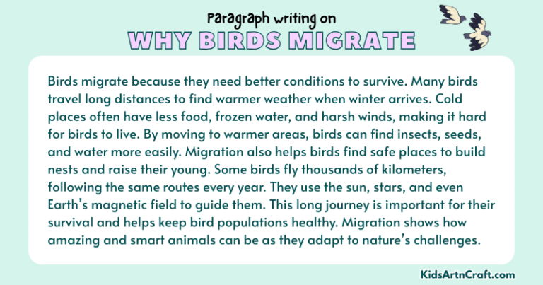 Paragraph on Why Birds Migrate - Kids Art & Craft