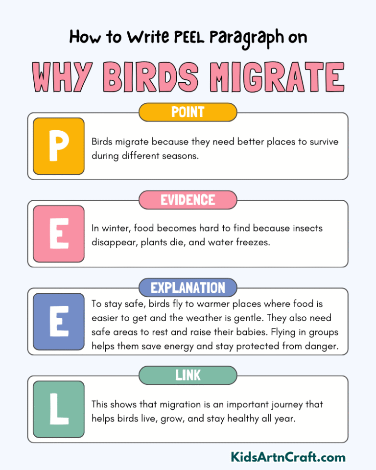 Paragraph on Why Birds Migrate - Kids Art & Craft