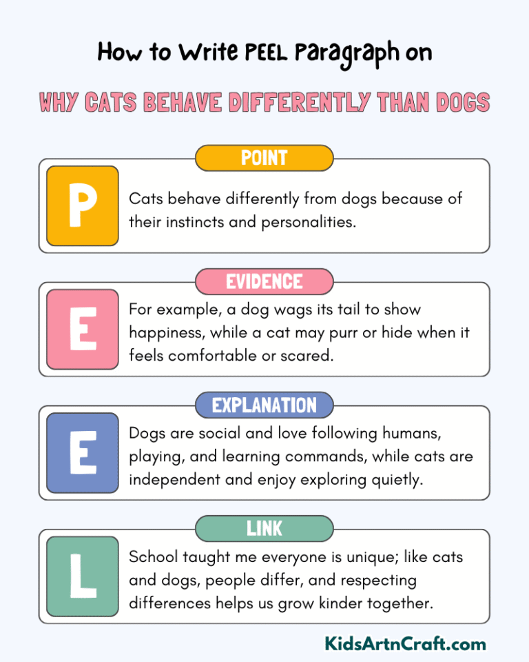 Paragraph on Why Cats Behave Differently Than Dogs - Kids Art & Craft