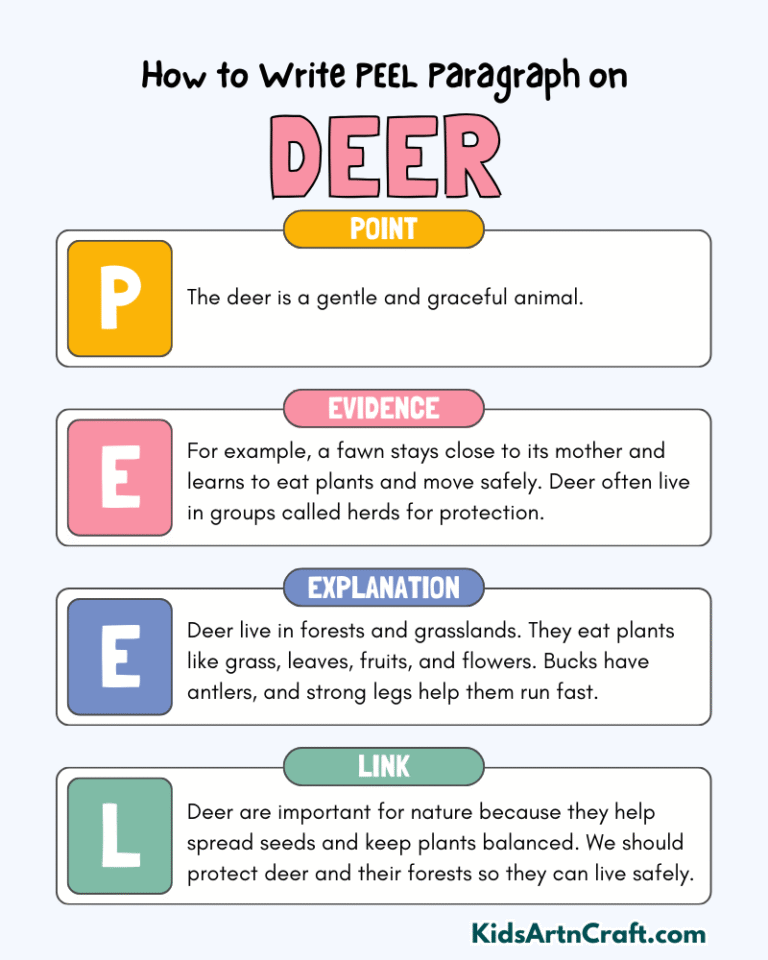 Paragraph on Deer - Kids Art & Craft