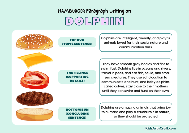 Paragraph on Dolphin - Kids Art & Craft