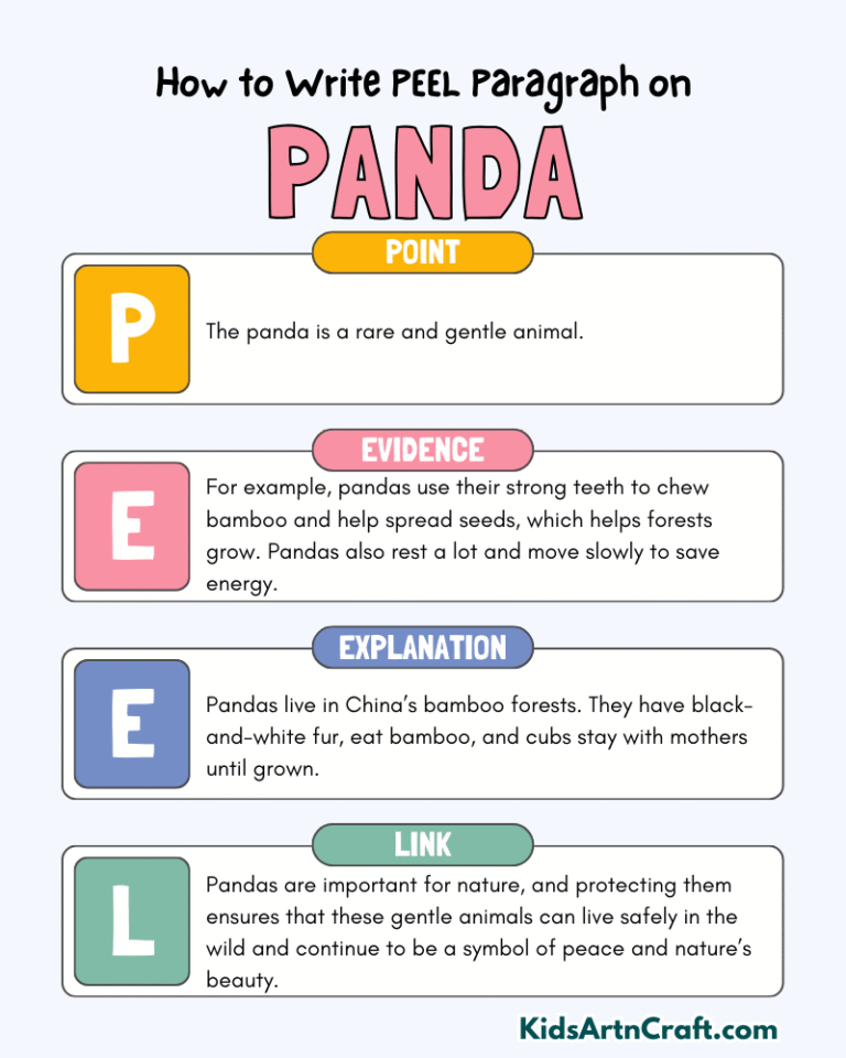 Paragraph on Panda - Kids Art & Craft