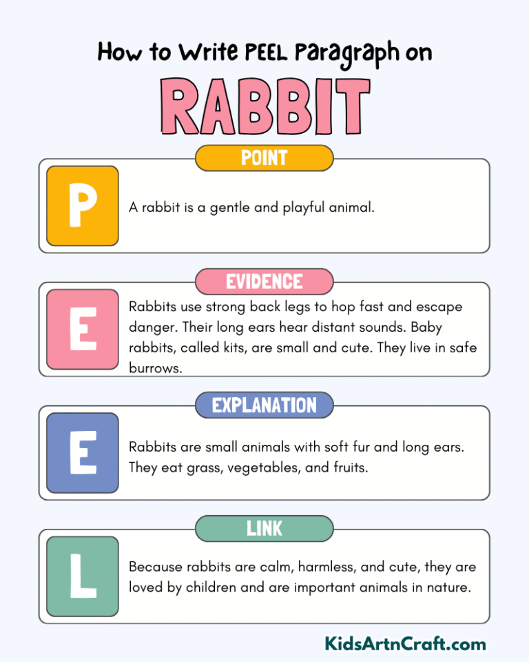 Paragraph on Rabbit - Kids Art & Craft