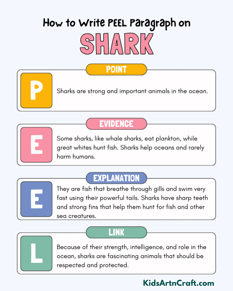 Paragraph on Shark - Kids Art & Craft
